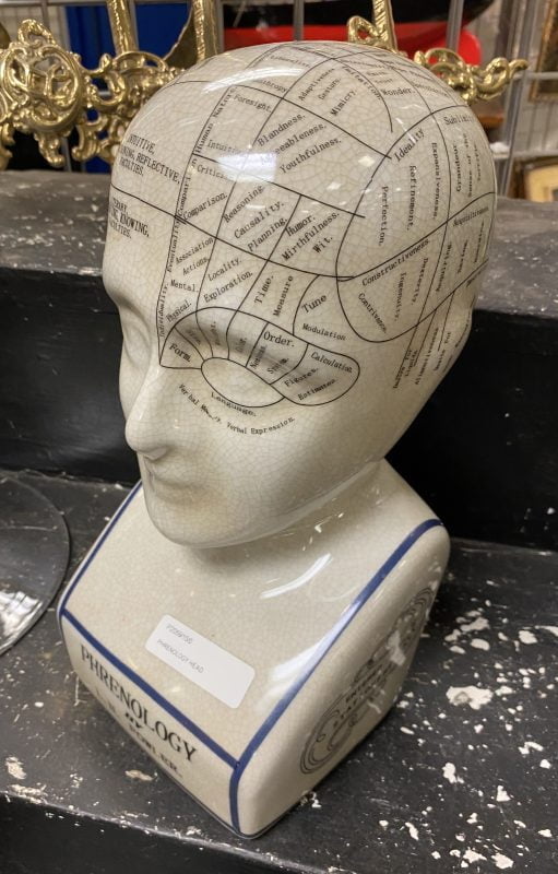 PHRENOLOGY HEAD - Southgate Auction Rooms