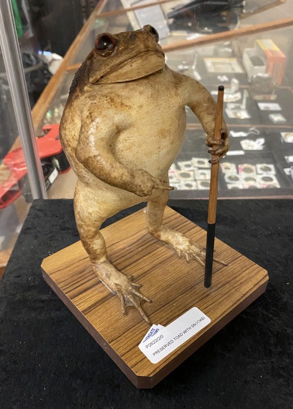 PRESERVED TOAD WITH SNOOKER CUE - Southgate Auction Rooms