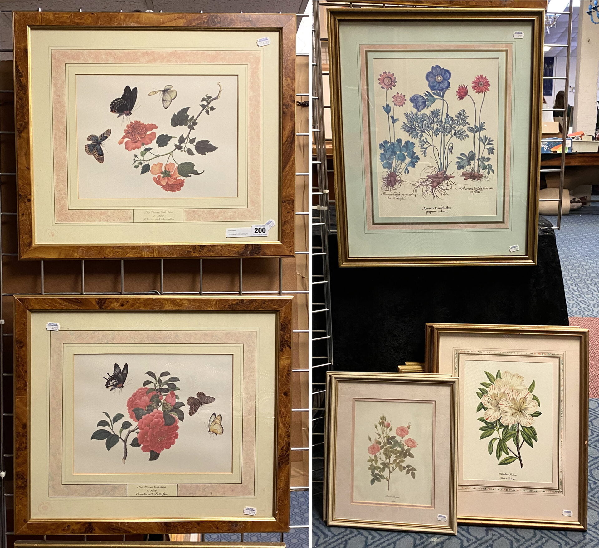 TEN PRINTS OF FLOWERS - Southgate Auction Rooms