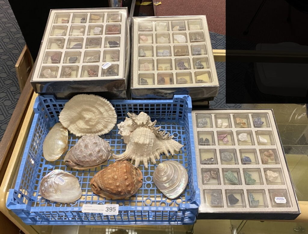 SIX CASED MINERAL / STONES COLLECTION WITH SHELLS - Southgate Auction Rooms