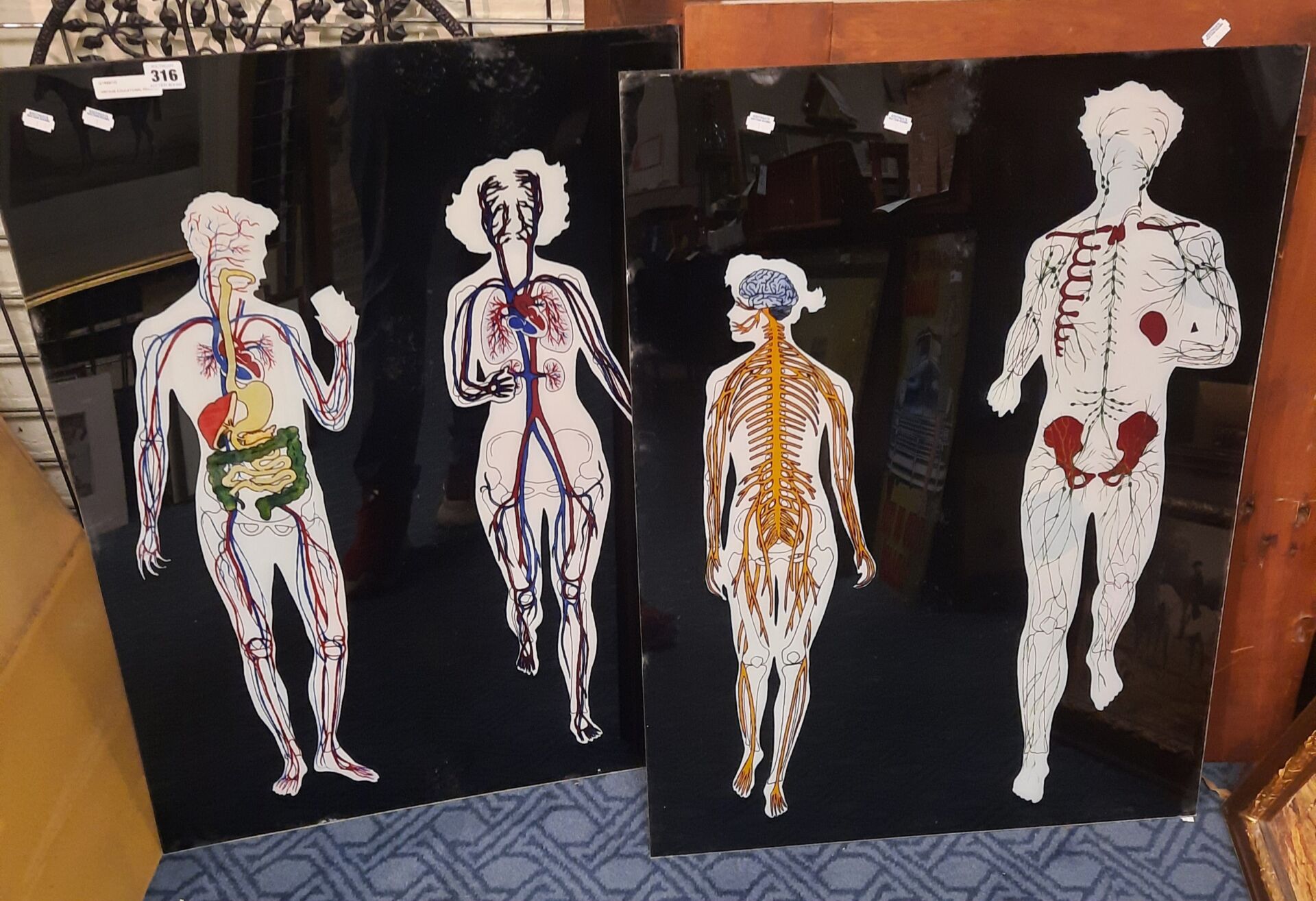 VINTAGE EDUCATIONAL PERSPEX OF HUMAN ANATOMY - Southgate Auction Rooms