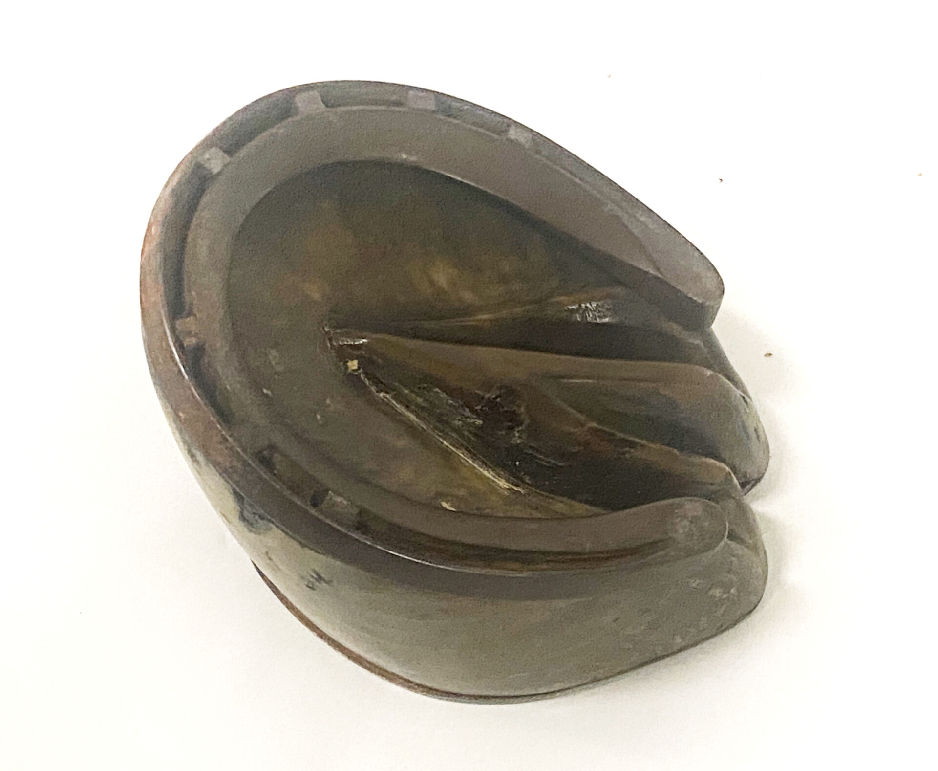 VICTORIAN HAND PAINTED HORSE HOOF WITH HORSE RACING SCENE A/F ...